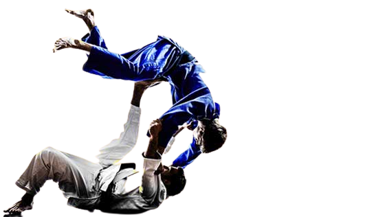 BJJ Madison – Brazilian Jiu Jitsu Adult Classes | Fight Prime Training ...